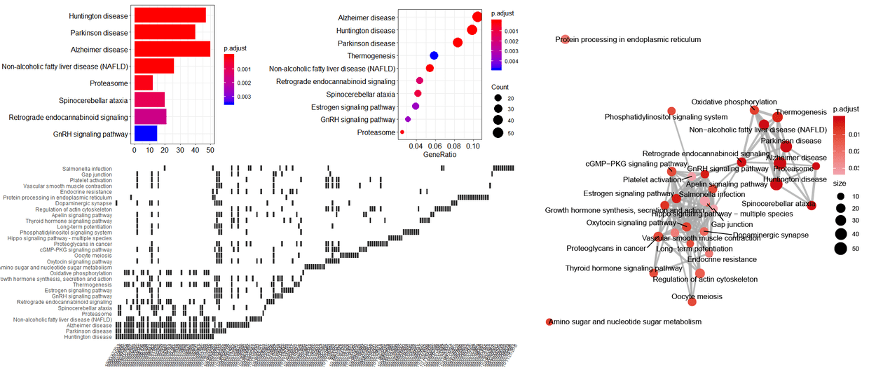 用clusterProfiler做GO、KEGG富集分析_基因