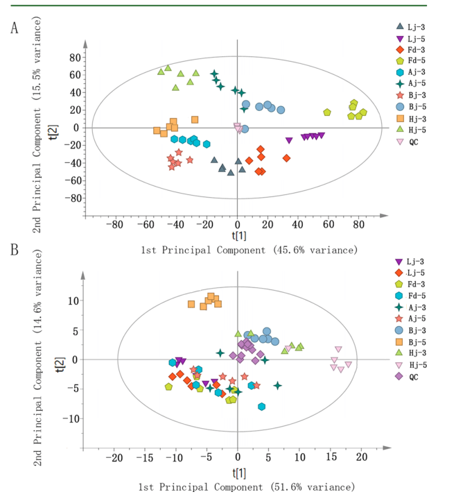 GC-MS、LC-MS非靶向代谢组学|对白化茶和绿茶品种代谢变化研究_叶片