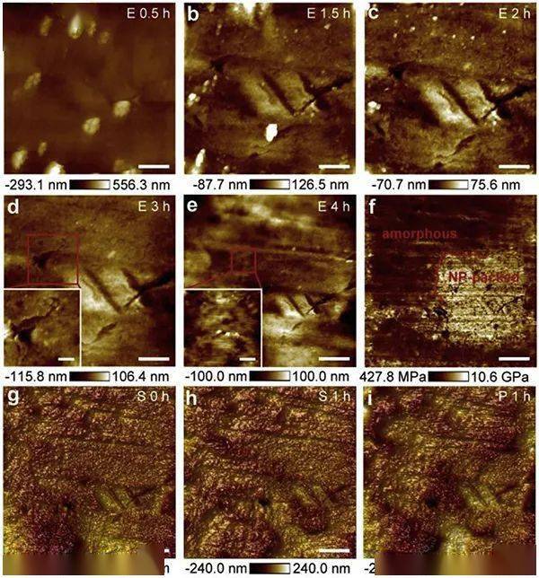中科院化学研究所Nano Energy: 原位AFM揭示金属锂表面SEI演化及LiNO3添加剂调控机制-搜狐大视野-搜狐新闻