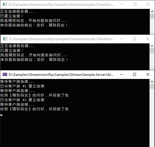 .NET 开源项目 StreamJsonRpc 介绍[中篇]_dotnet