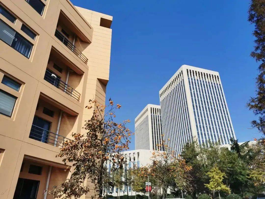 不负秋光不负己，快来打卡青大四大图书馆！-搜狐大视野-搜狐新闻