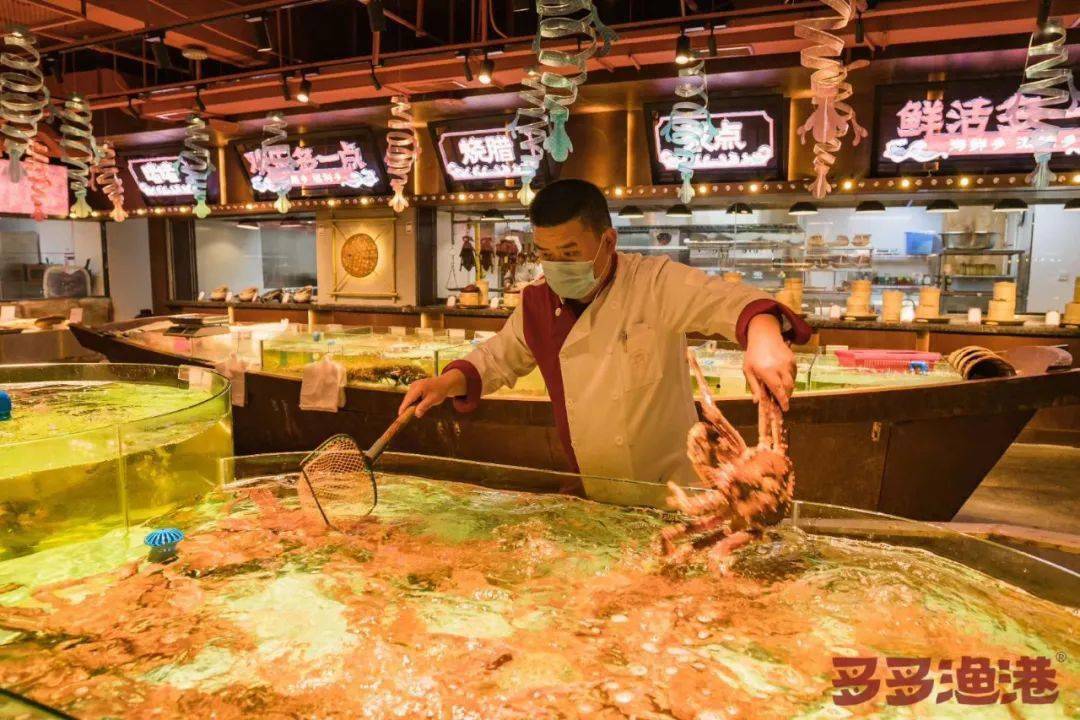 【两店通用|多多渔港】198元享门市价491元的多多渔港5-7人餐！青椒酱蒸宁波黄鱼+啫啫蚝烙...-搜狐大视野-搜狐新闻