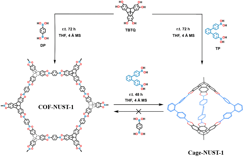 JACS 南京理工张根课题组在共价有机框架(COFs)-有机分子笼(Cages)动态转换方面取得最新研究进展-搜狐大视野-搜狐新闻