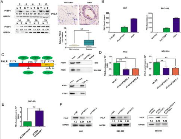 rip结果分析 - 1+1大于2！RIP - 办公设备维修网