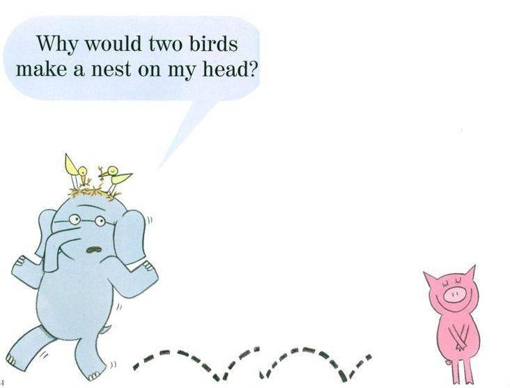 磨耳朵 | 每日童谣——There is a bird on your head 你的头上有只鸟-搜狐大视野-搜狐新闻