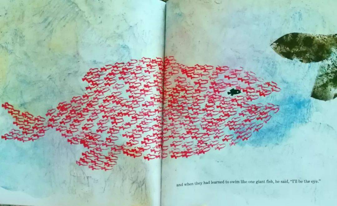 【英文有声绘本】Swimmy-搜狐大视野-搜狐新闻