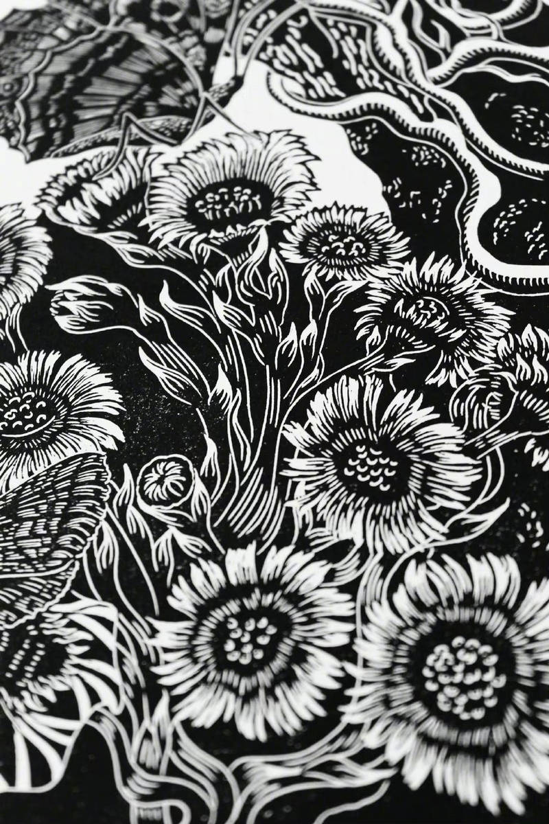 艺术家 Cally Conway 版画作品欣赏-搜狐大视野-搜狐新闻