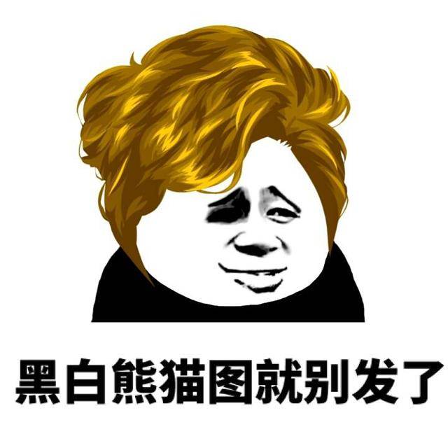 搞笑斗图表情包：给我安静点小熊猫，不要搞事情-搜狐大视野-搜狐新闻