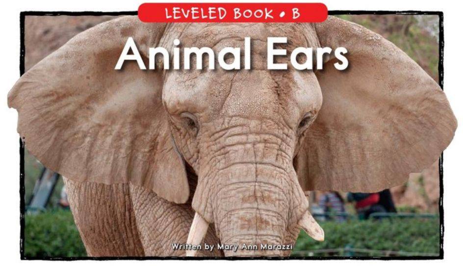 伴读 | Raz B：Animal Ears_this