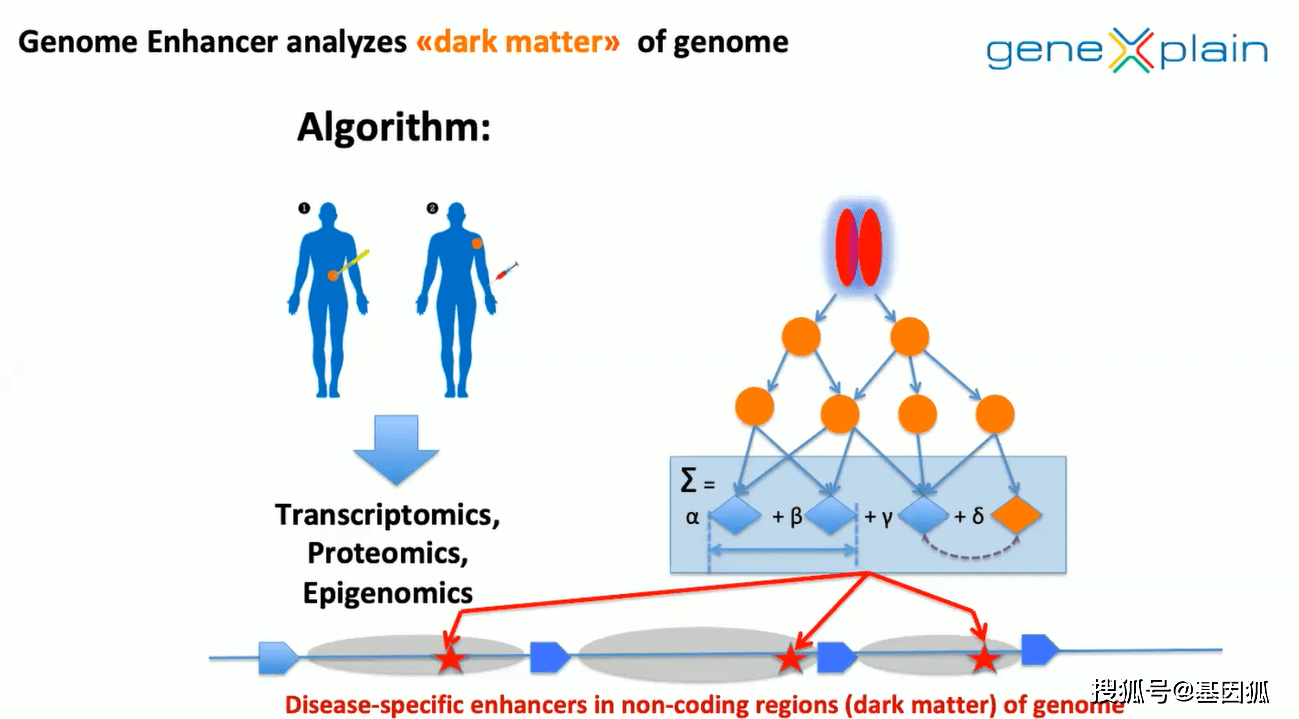 使用Genome Enhancer虚拟寻找COVID-19的潜在药物靶点和治疗方法_调控