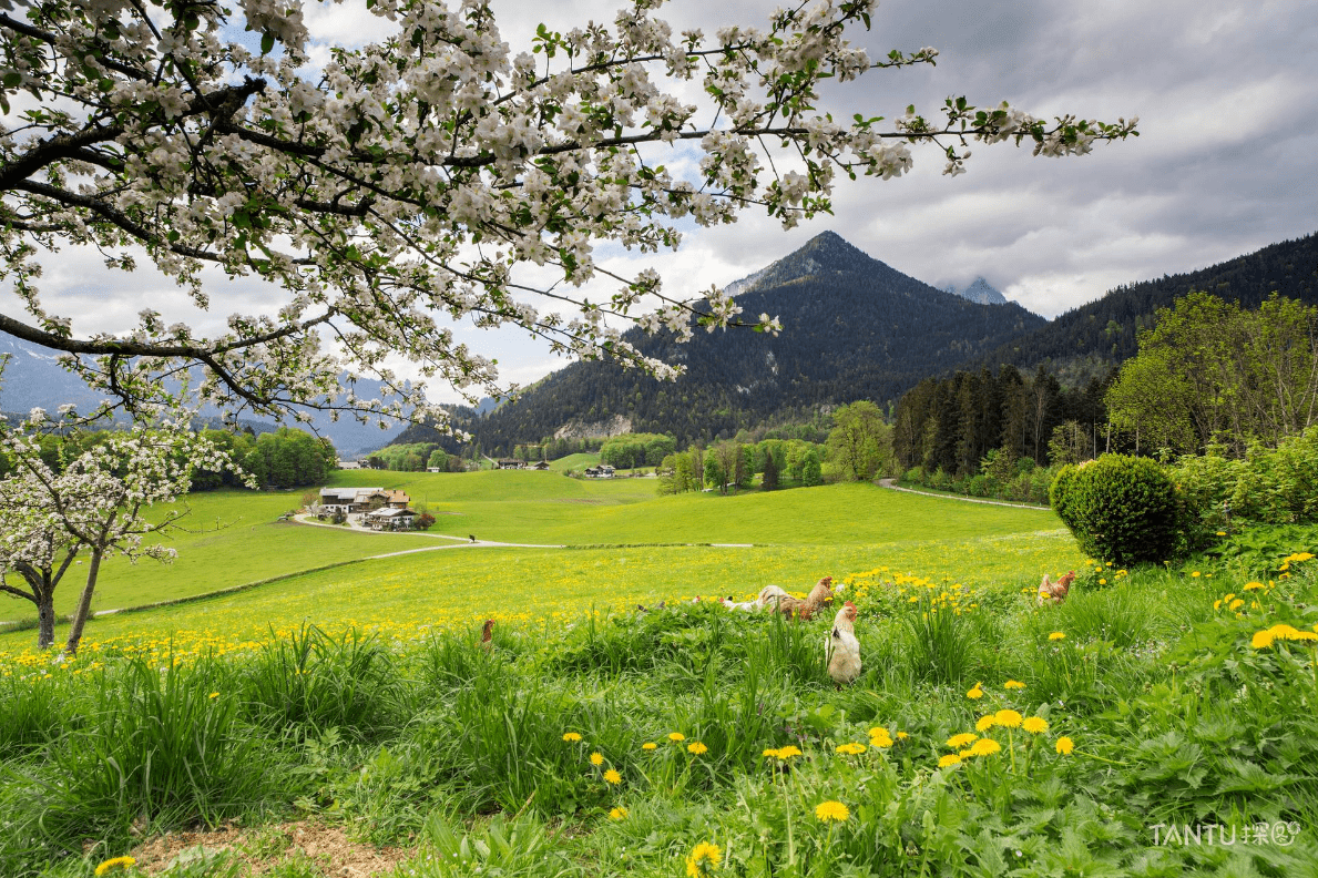 探图之自然风光篇三-搜狐大视野-搜狐新闻