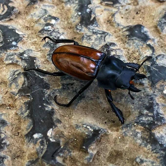 湖南乐八图自由行推荐张家界自由行攻略2-搜狐大视野-搜狐新闻