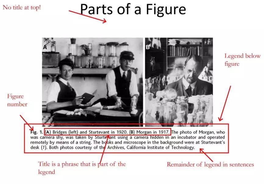 SCI论文中Figure图如何制作？_Table