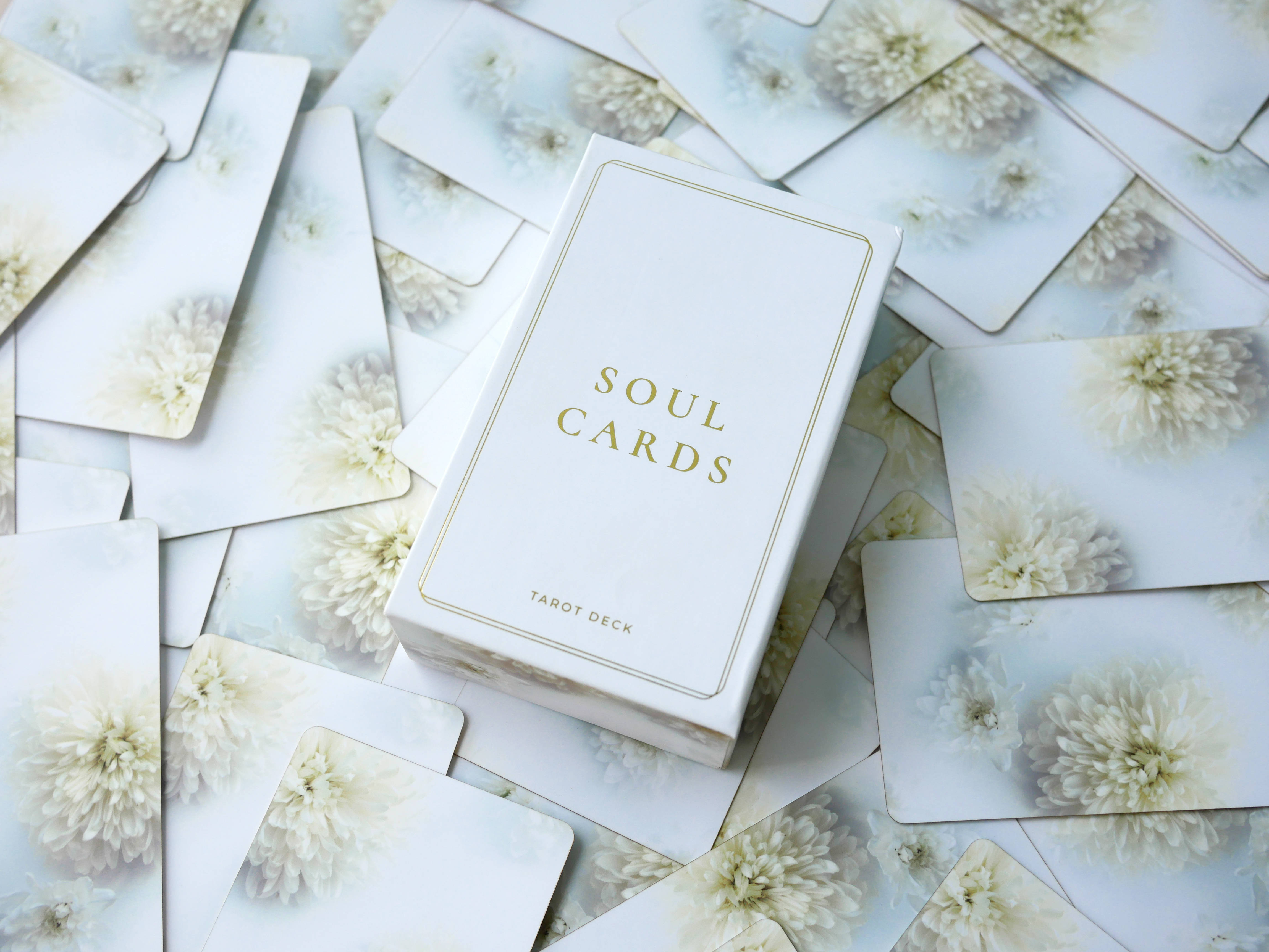灵魂塔罗牌白金限量版Soul Cards White Dahlia-搜狐大视野-搜狐新闻