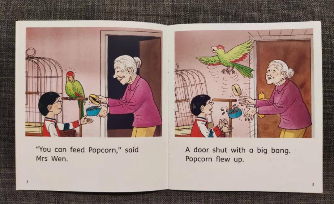 伴读 | 牛津树【中国篇3-6】popcorn the parrot_Popcorn