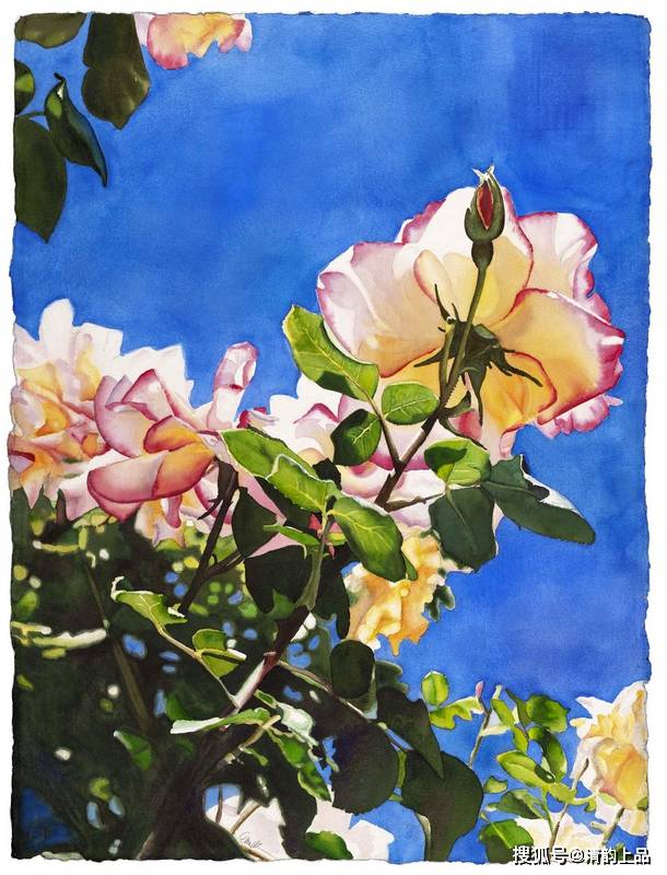 美国画家Cara Brown水彩画作品选集 -6park.com