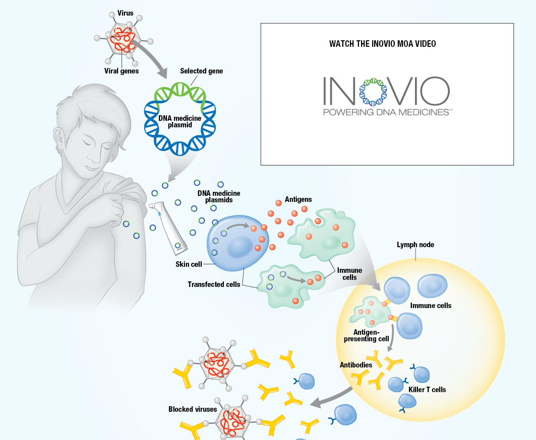 二代疫苗VGX-3100能有效治疗宫颈等癌前病变_外阴