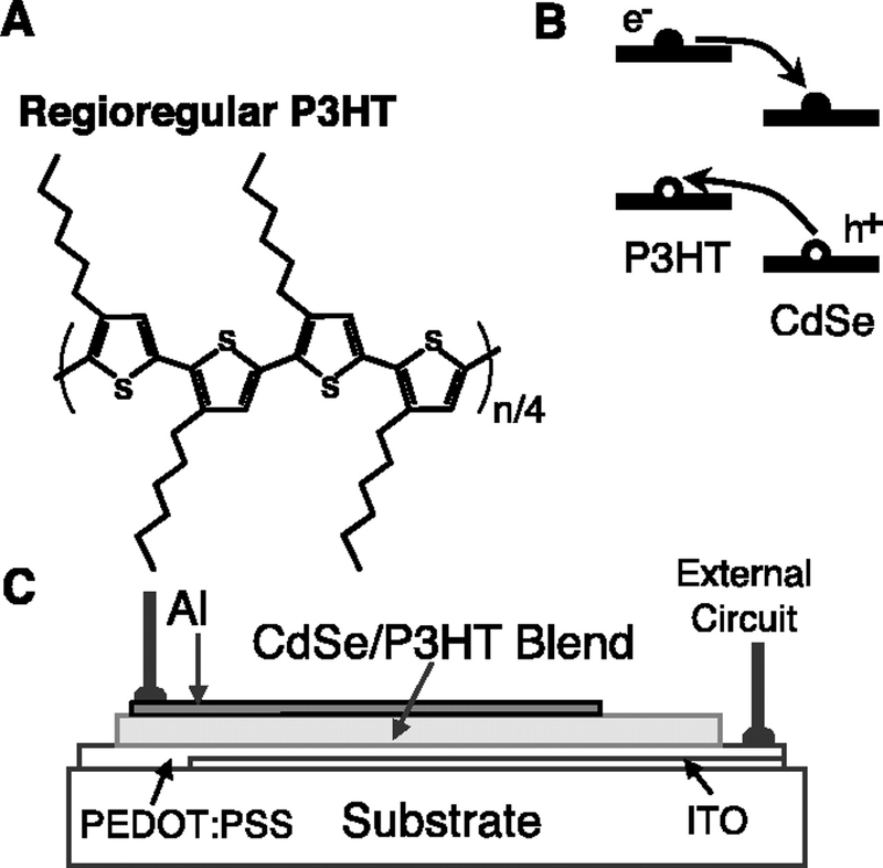 P3HT：超简单聚合物给体助力OSC性能不断突破_Adv