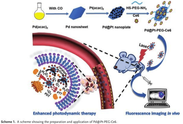 光敏剂Ce6经PEG改性或偶联糖、药物、磷脂、蛋白、等无机纳米材料_卟吩
