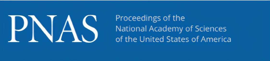 华盛顿大学《PNAS》光图案化可指导基于天然蛋白质水凝胶中的3D细胞命运_合成