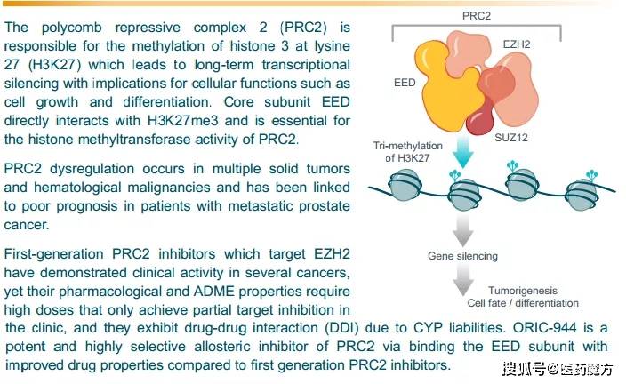 2021 AACR| 聚焦肿瘤耐药创新疗法！这家公司公布4个项目临床前数据_治疗