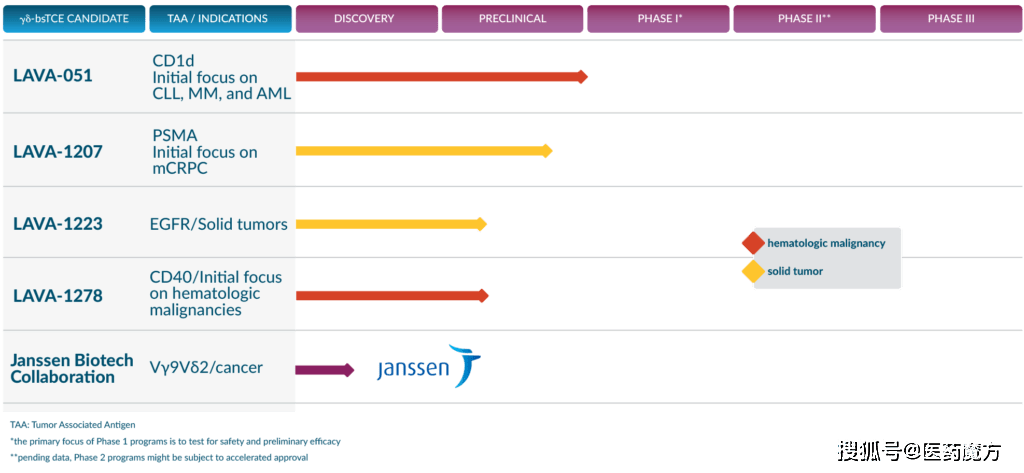 杨林点评 | 癌症免疫疗法后起之秀——γδ T细胞_Lava