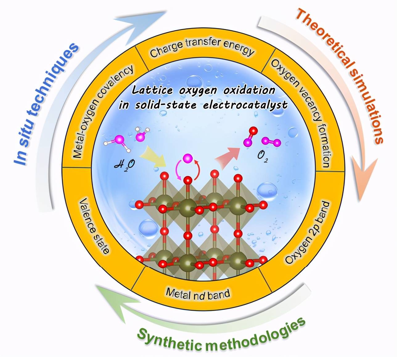 香港理工柴扬教授EES综述：固相OER电催化剂中的晶格氧氧化机制_反应