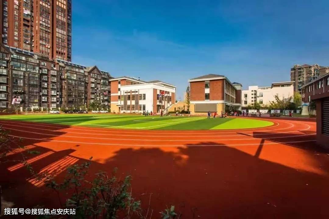 海角官方社区官网入口