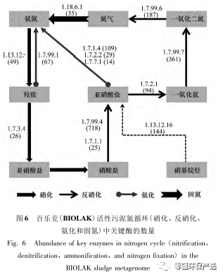 百乐克( BIOLAK) 活性污泥宏基因组的生物多样性及功能分析_工艺