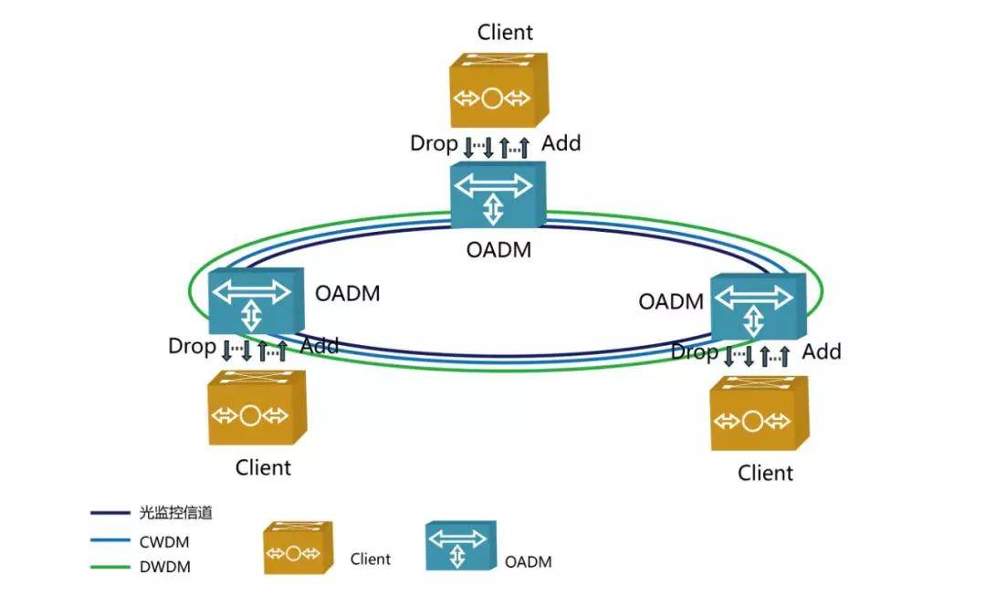 OTN如何完成组网？点击阅读带你了解OTN常见的组网方式_波长