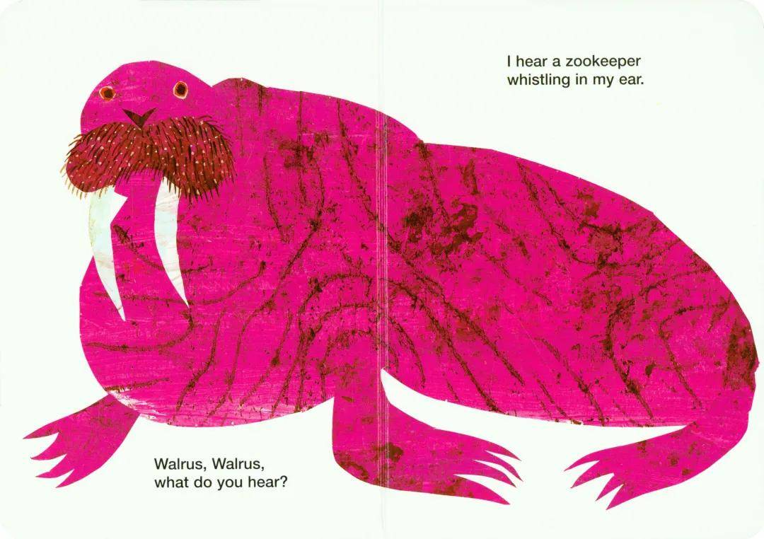 伴读 | 棕熊系列 Polar Bear,Polar Bear,What Do You Hear?_Carle