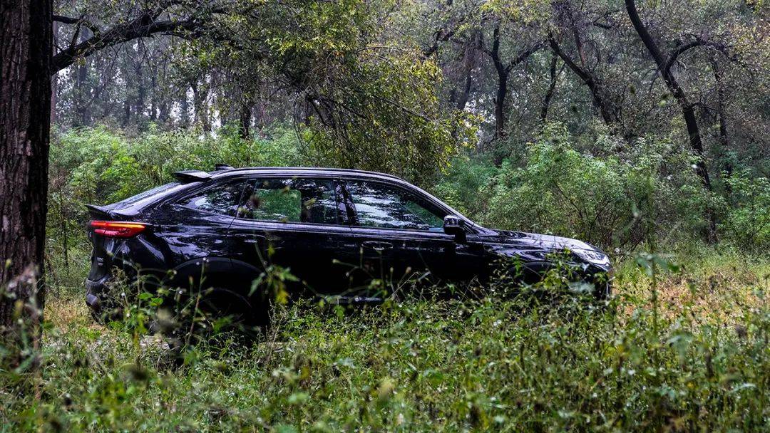 柠檬平台打造 运动化轿跑风格元素设计 哈弗H6S上市售13.89万元起_搜狐汽车_搜狐网