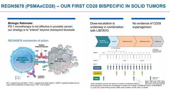 聚焦药靶：从诊断到治疗，PSMA的最新研究进展_药物_放射性_临床