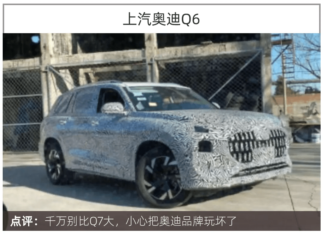 2022年前瞻|国产宝马X5与奥迪Q6混战，红旗推出5.7米旗舰SUV_搜狐汽车_搜狐网