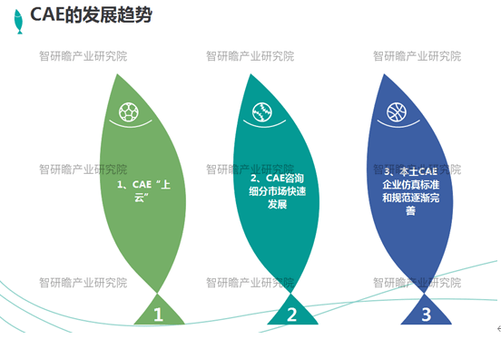 2022-2028年中国CAE行业市场全景评估及发展策略分析报告_智研瞻_工程_管理