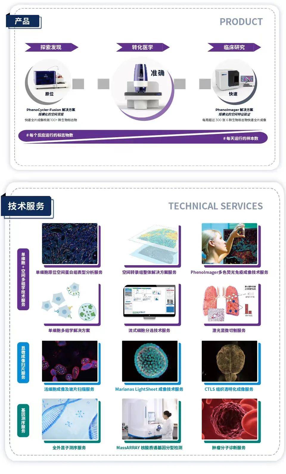 【Akoya讲座】-Opal多重荧光免疫组化（Multiplex IHC）空间表型分析操作指南_云准_肿瘤_服务
