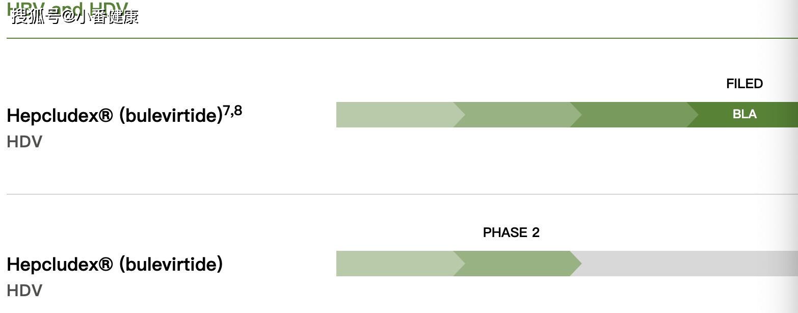 丁肝新药Bulevirtide，综合疗效新数据，在2022年欧肝会发布_治疗_受试者_研究人员