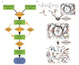上帝之手David Baker：从哲学跨界，围堵AlphaFold_蛋白质_结构_Rosetta