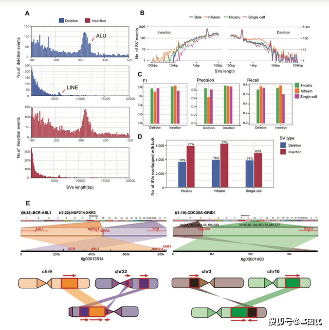 学术前沿：单细胞测序，助力人类基因组从头组装_平台_PacBio_SMOOTH-seq