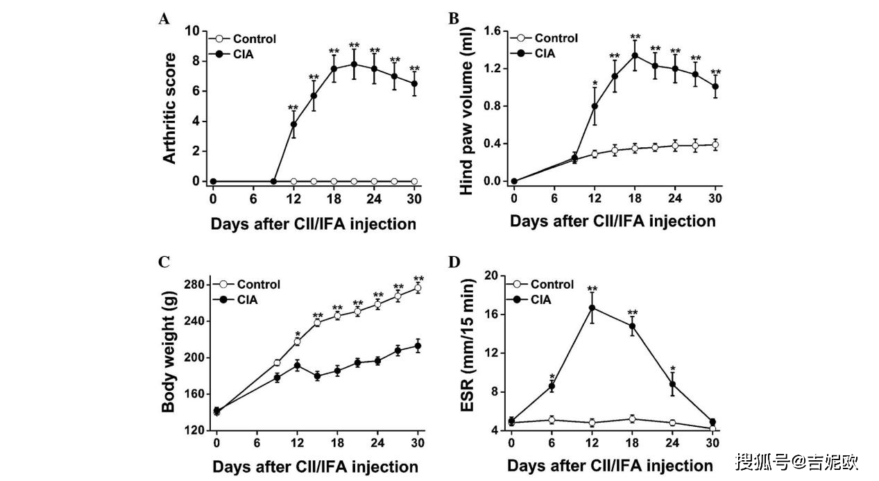 动物模型之关节炎模型的选择与建模 胶原诱导(CIA)关节炎大鼠模型的制备方法_Fig_细胞_female