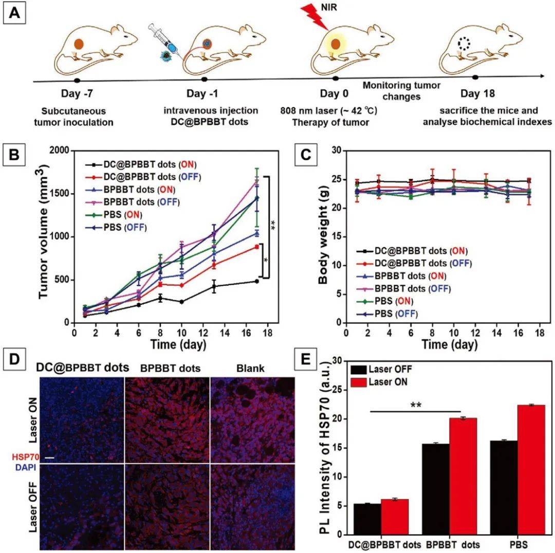DC膜仿生AIE纳米颗粒在肿瘤靶向NIR-II成像以及低温光热治疗方面的应用_dots_细胞_Funct