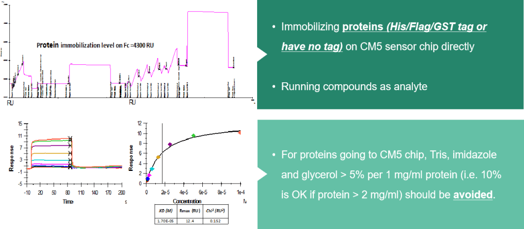 维亚SPR平台专家杨晶晶：分子互作金标准SPR技术，助力药物发现跑出“加速度”_检测_进行_蛋白