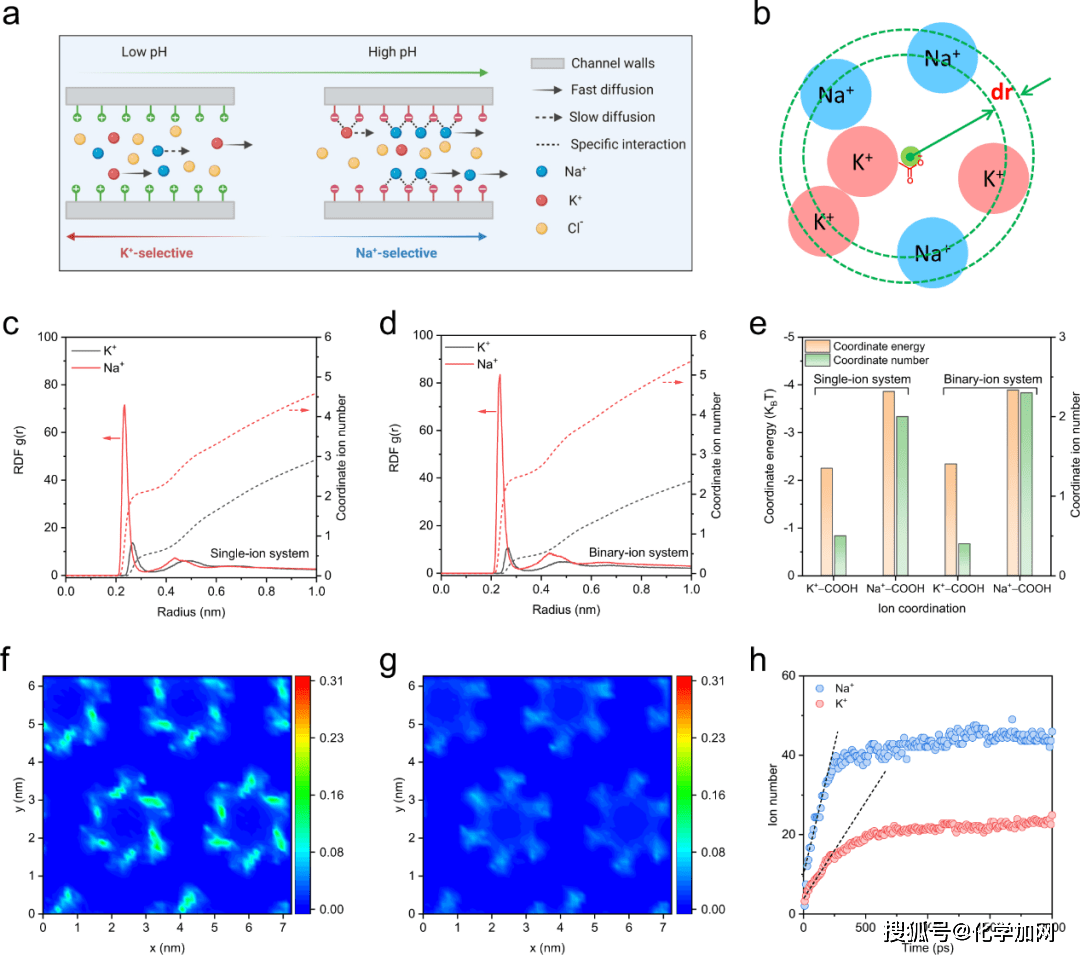 Nat. Commun.：氨基酸功能化 2D COF膜中的可调控 Na+ / K+ 选择性_离子_COF-Cys_结构