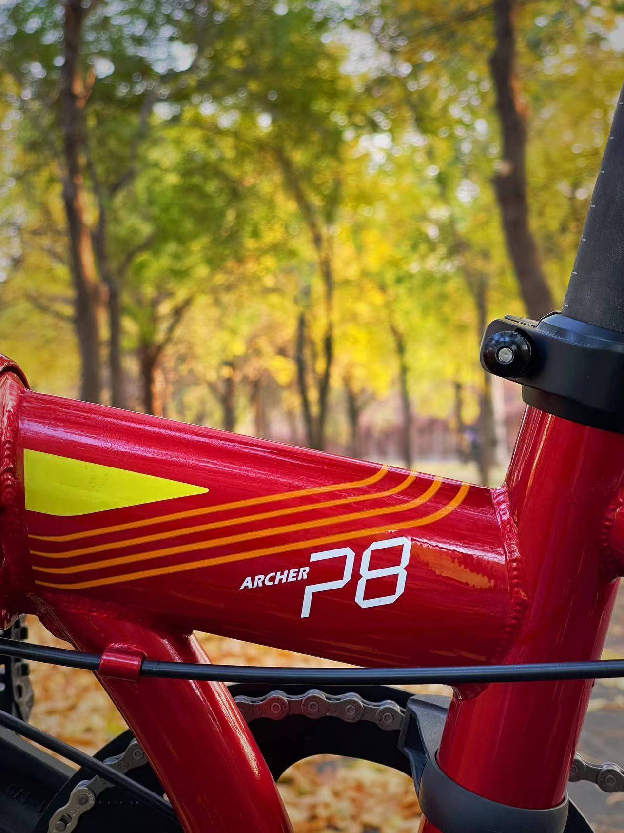 DAHON | 大行 40周年纪念版P8「KBC083」· 穿梭灵动，折叠更丝滑_搜狐汽车_搜狐网