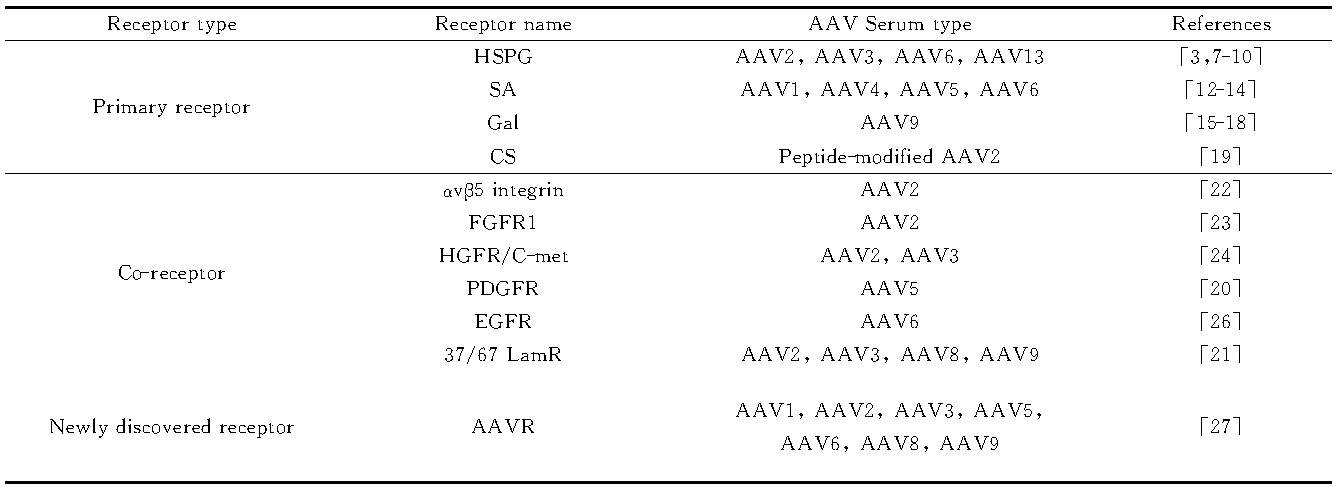 经验分享：腺相关病毒（AAV）受体研究进展简介_细胞膜_表面_结构
