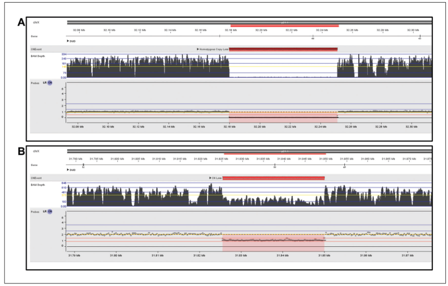 【前沿速递】使用基于 NGS 的单次检测对DMD进行分子诊断_分析_变异_基因