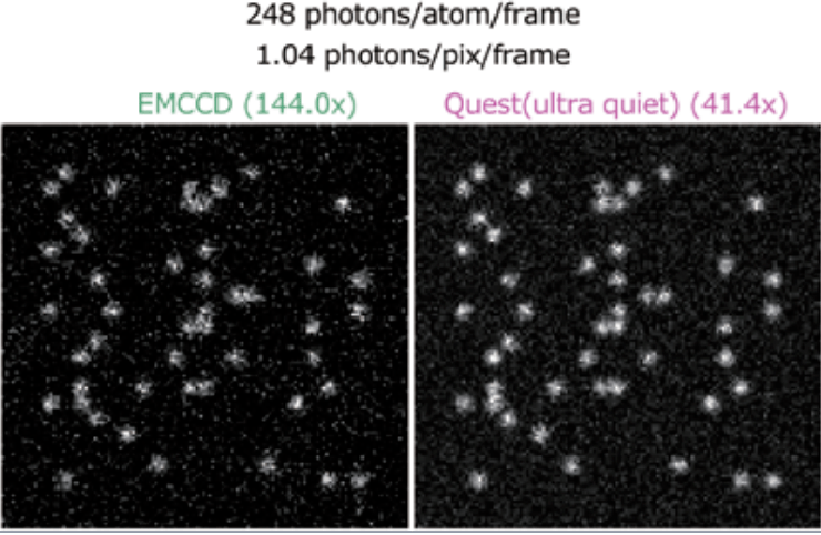 成像案例——滨松高速高灵敏度·背照·定量qCMOS相机