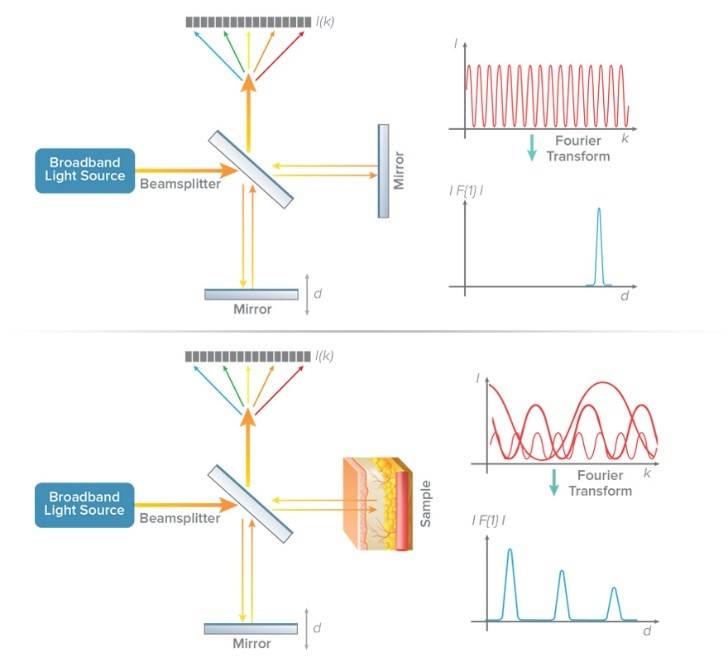 [科普知识]Wasatch Photonics-OCT光谱仪组成与工作原理_测量_成像_样品