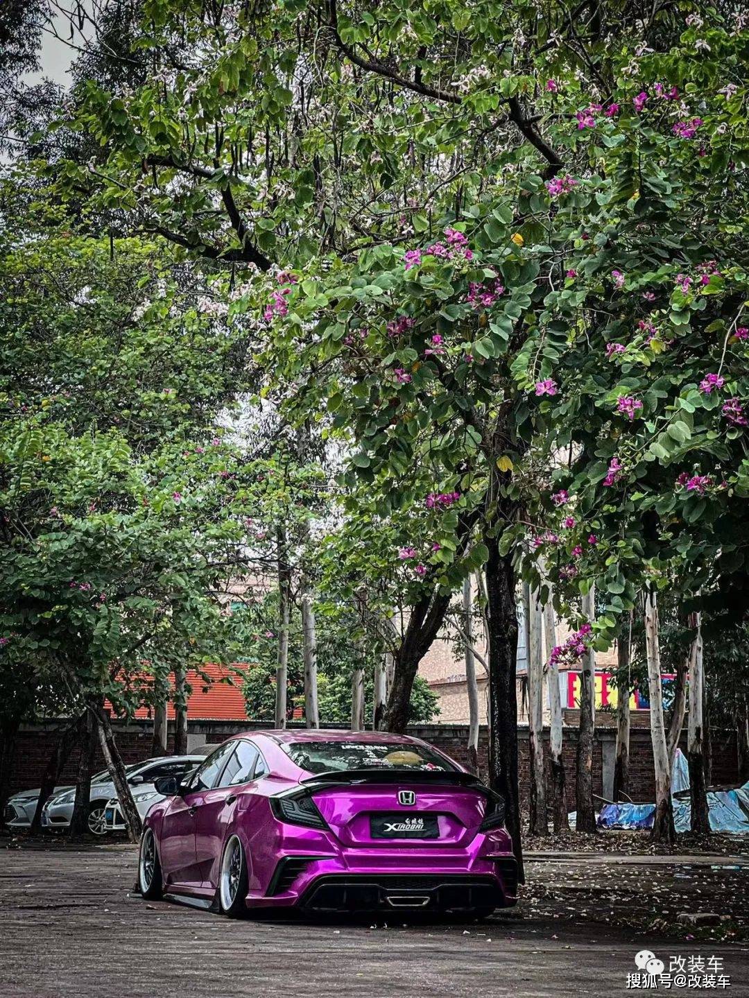 素雅姿态风的宝马325Li，优雅的姿态无需过多修饰_搜狐汽车_搜狐网