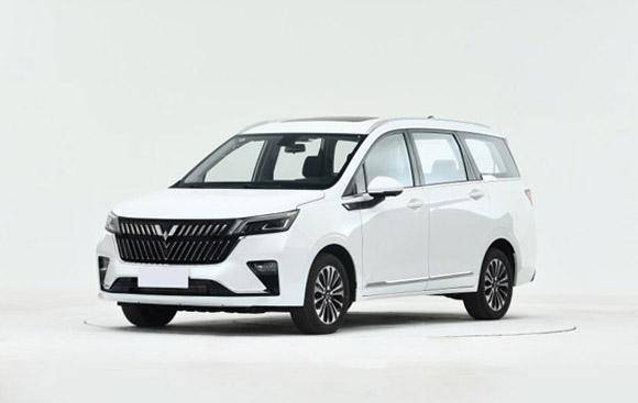 1-4月MPV销量排行完整榜，传祺M8第四，腾势D9不敌别克GL8_搜狐汽车_搜狐网